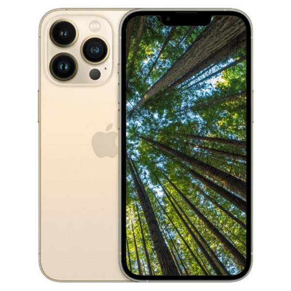 iPhone 13 Pro Max 256GB Gold Preowned - Techlord Technology